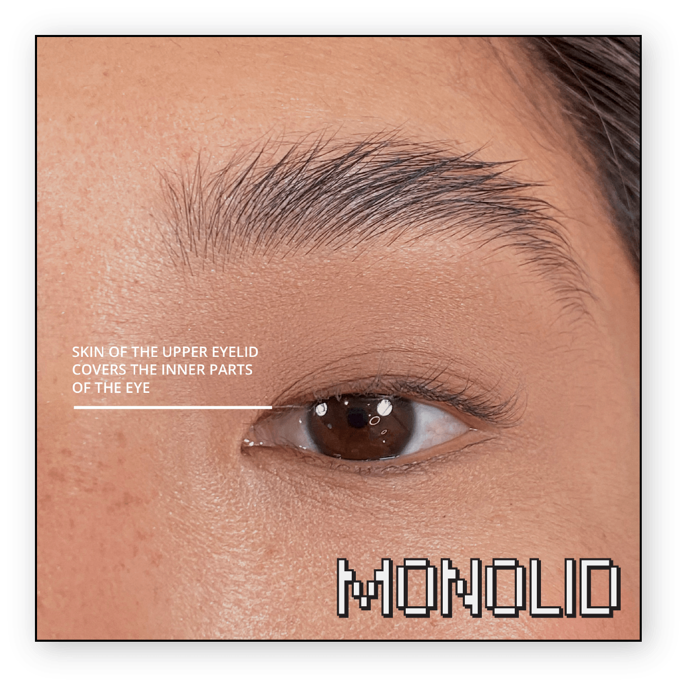 Different eye shapes and our lash recommendations - GIRLTIME BEAUTY