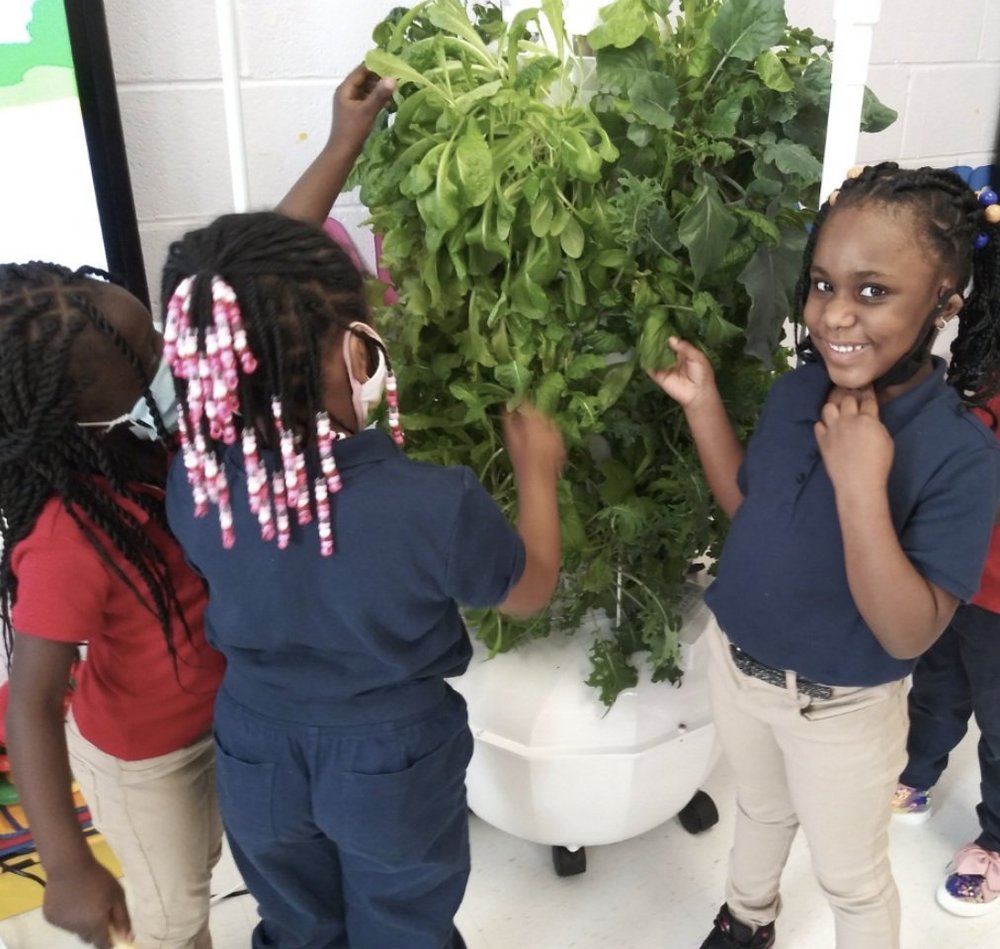 Growing Healthy Minds, Bodies & Communities