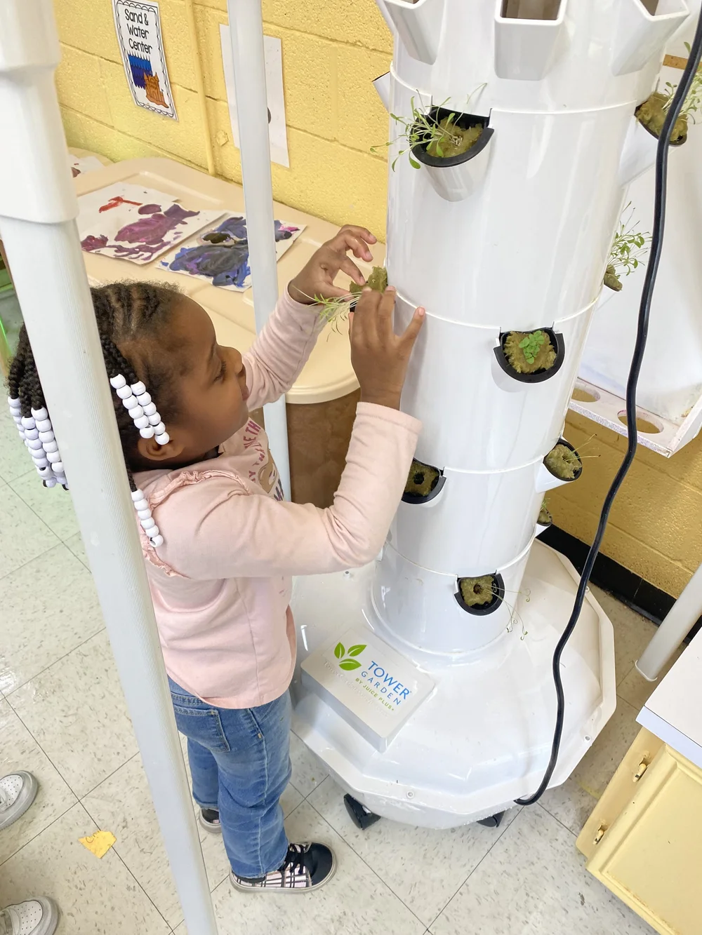 Growing Healthy Minds, Bodies & Communities