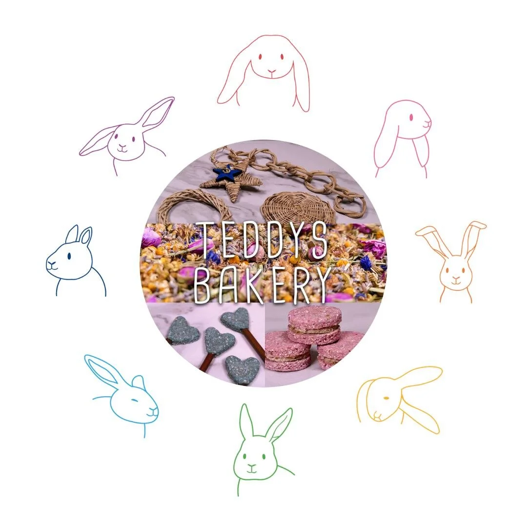 General 1 | The National Rabbit Festival