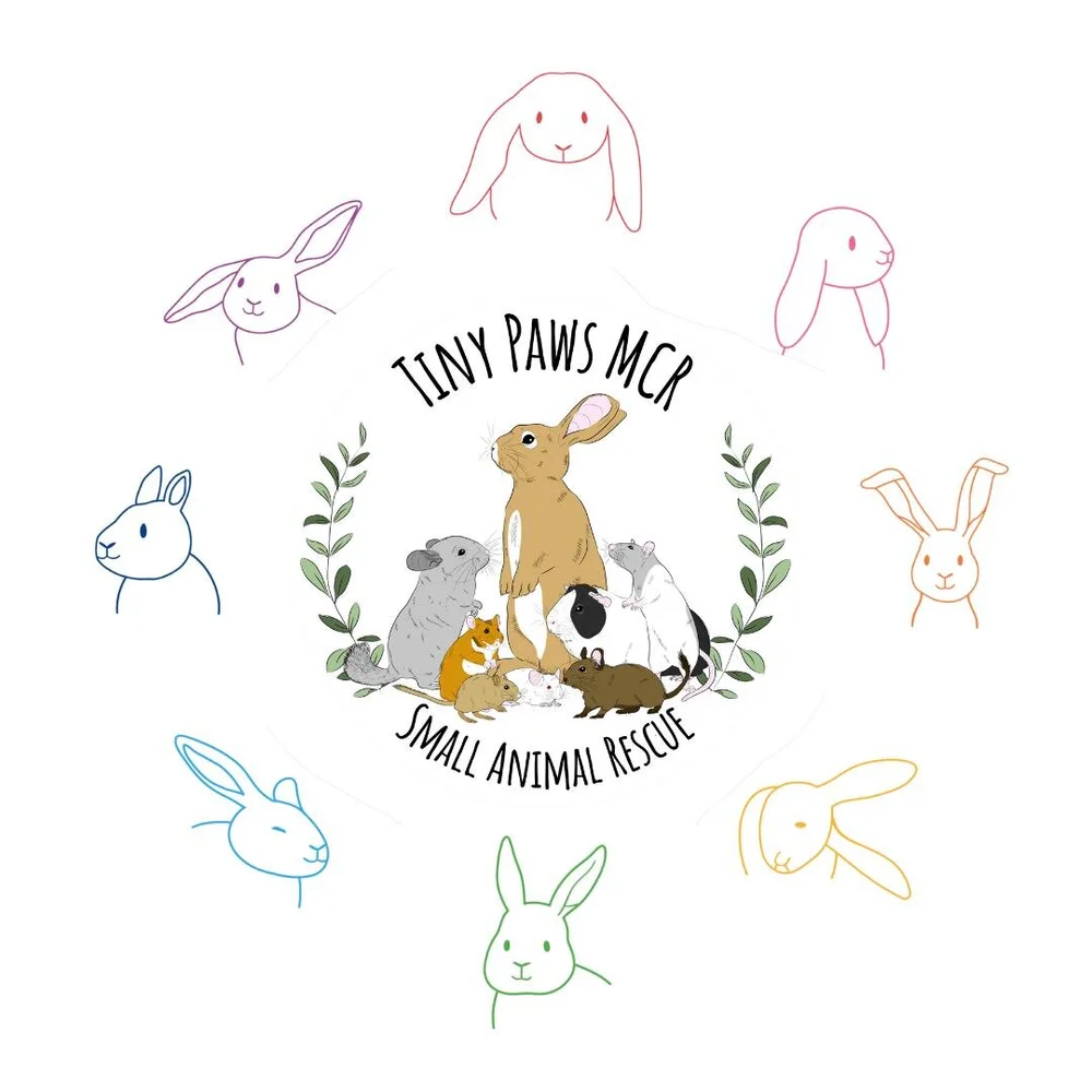 Visitor Information | The National Rabbit Festival