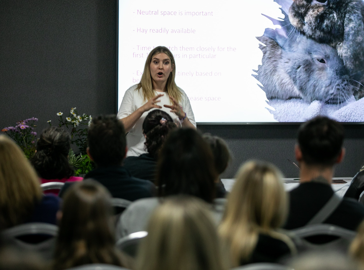 What's on? | The National Rabbit Festival