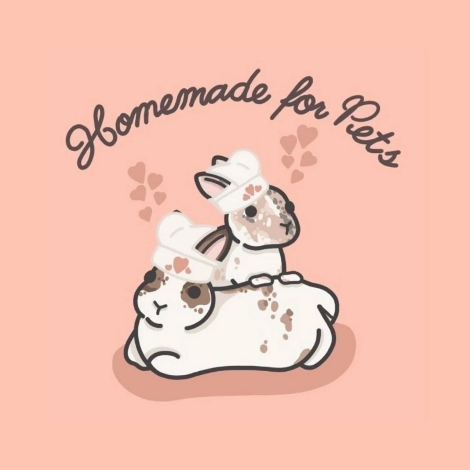 What's on? | The National Rabbit Festival