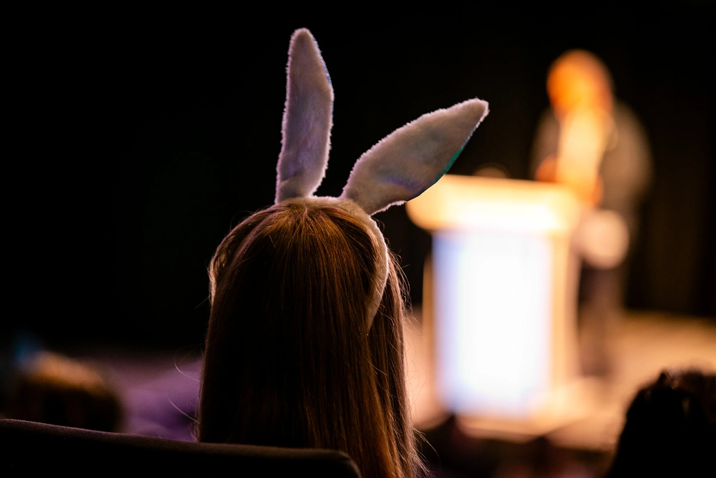 What's on? | The National Rabbit Festival