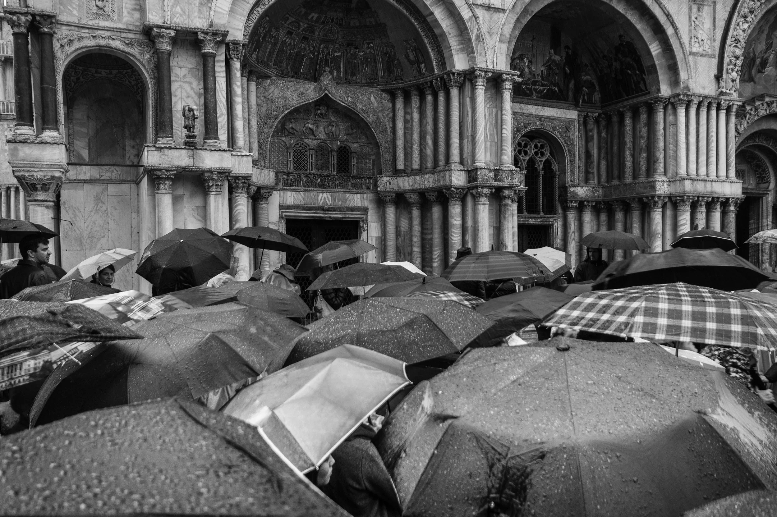 What is Under the Neurodiversity Umbrella? — Daniel Dashnaw