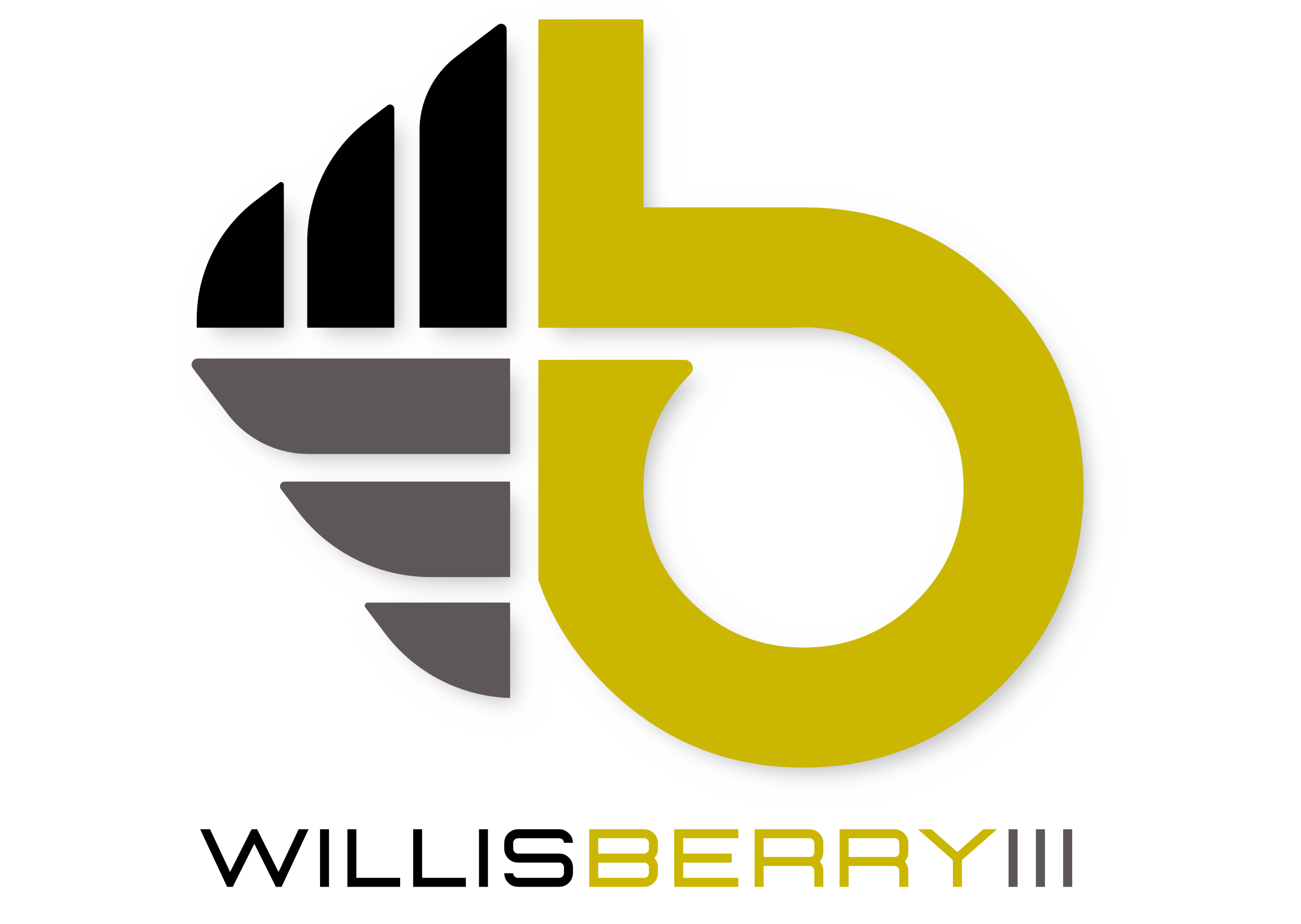My Gallery — Willis Berry III
