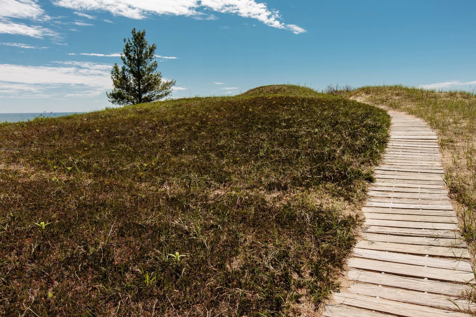 Checking | Sheboygan Area CU