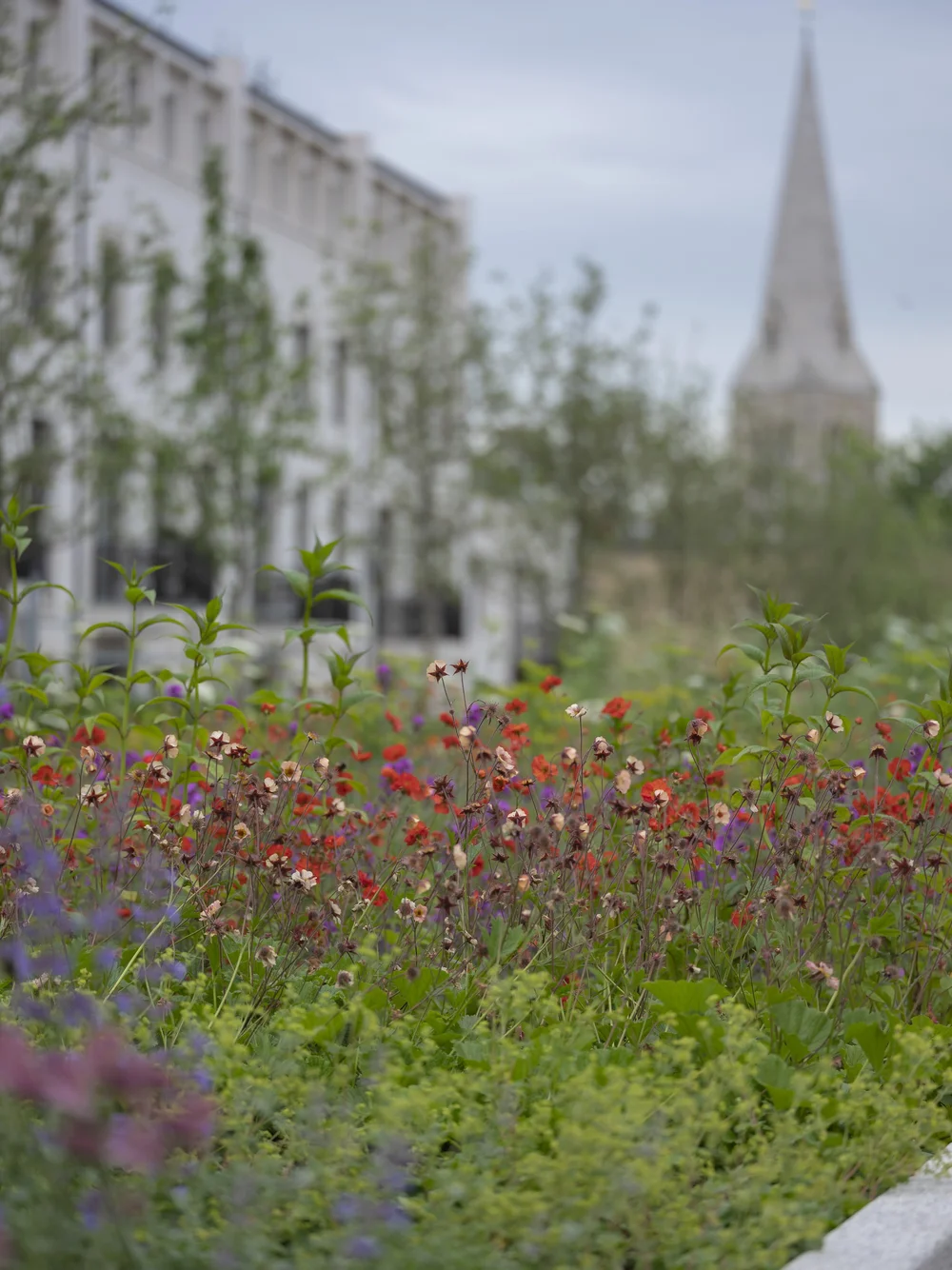 Chelsea Barracks — Gustafson Porter + Bowman