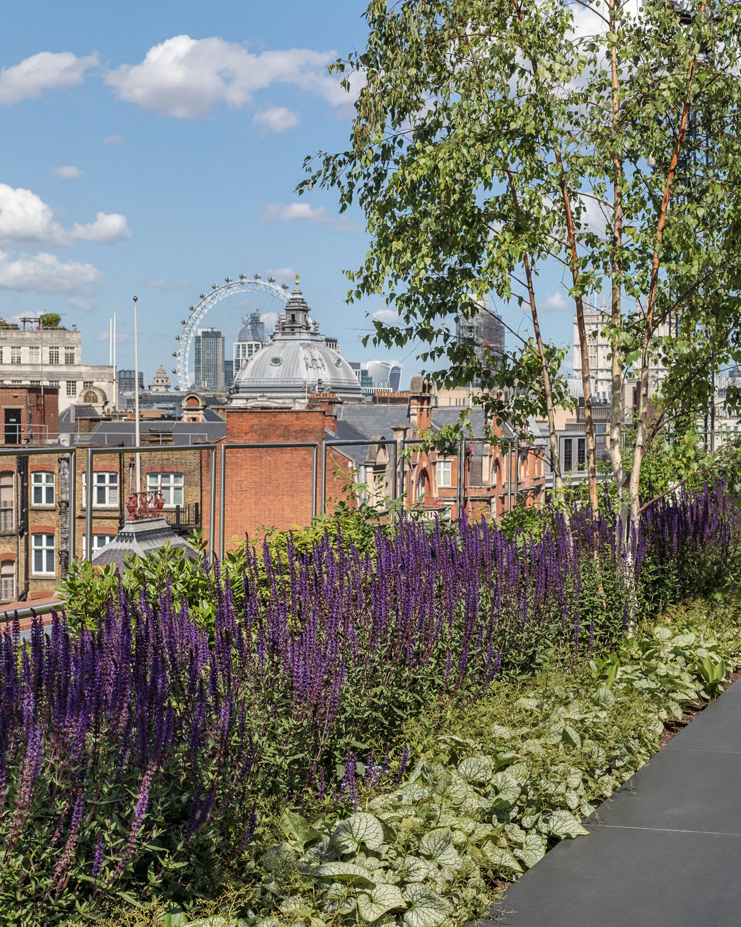 Buckingham Green — Gustafson Porter + Bowman