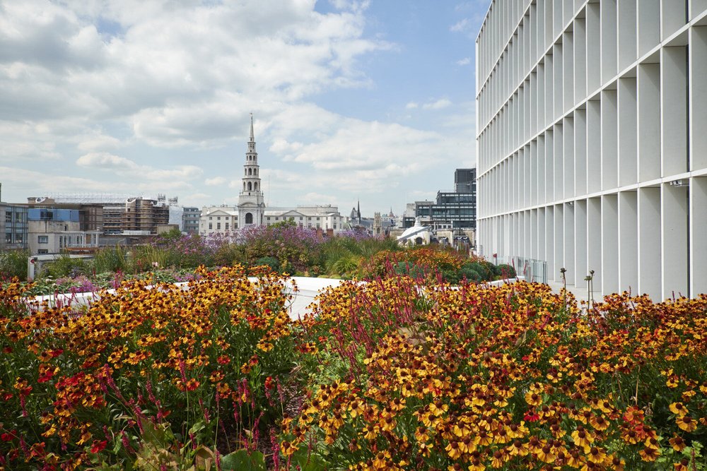 New Ludgate — Gustafson Porter + Bowman