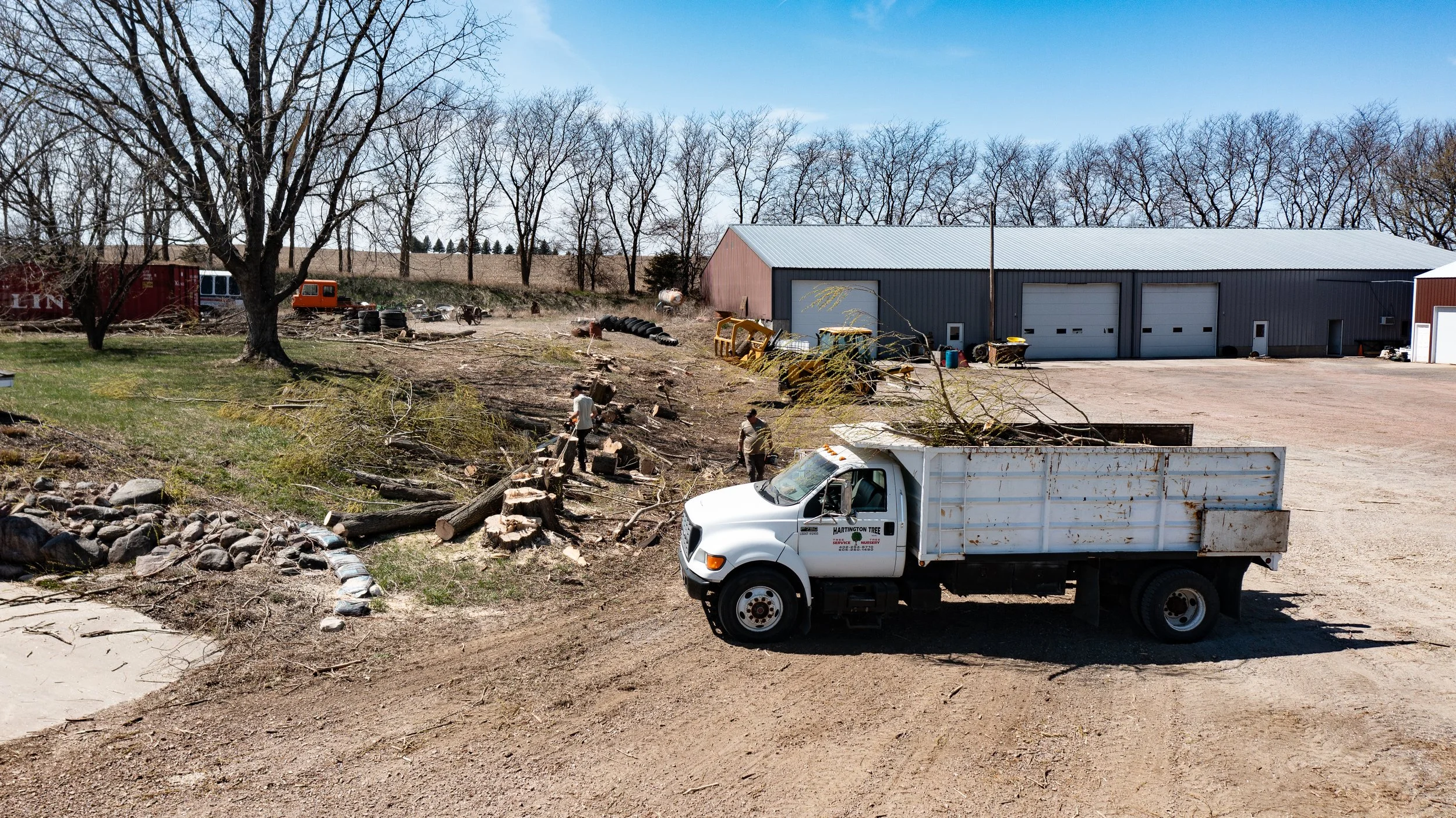 Hartington Tree LLC