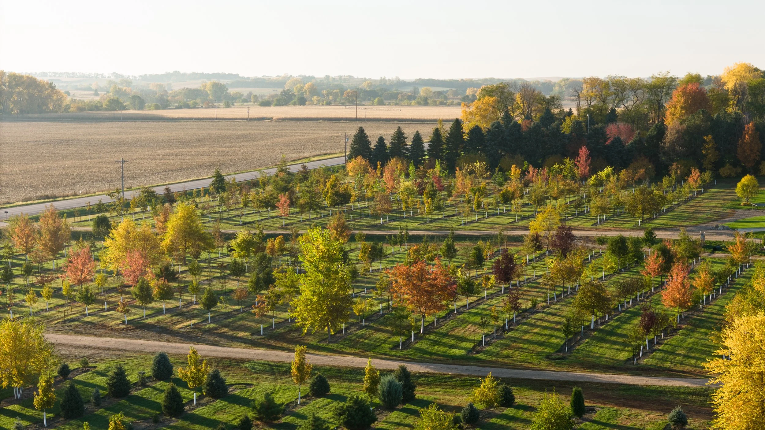 Gallery — Hartington Tree LLC