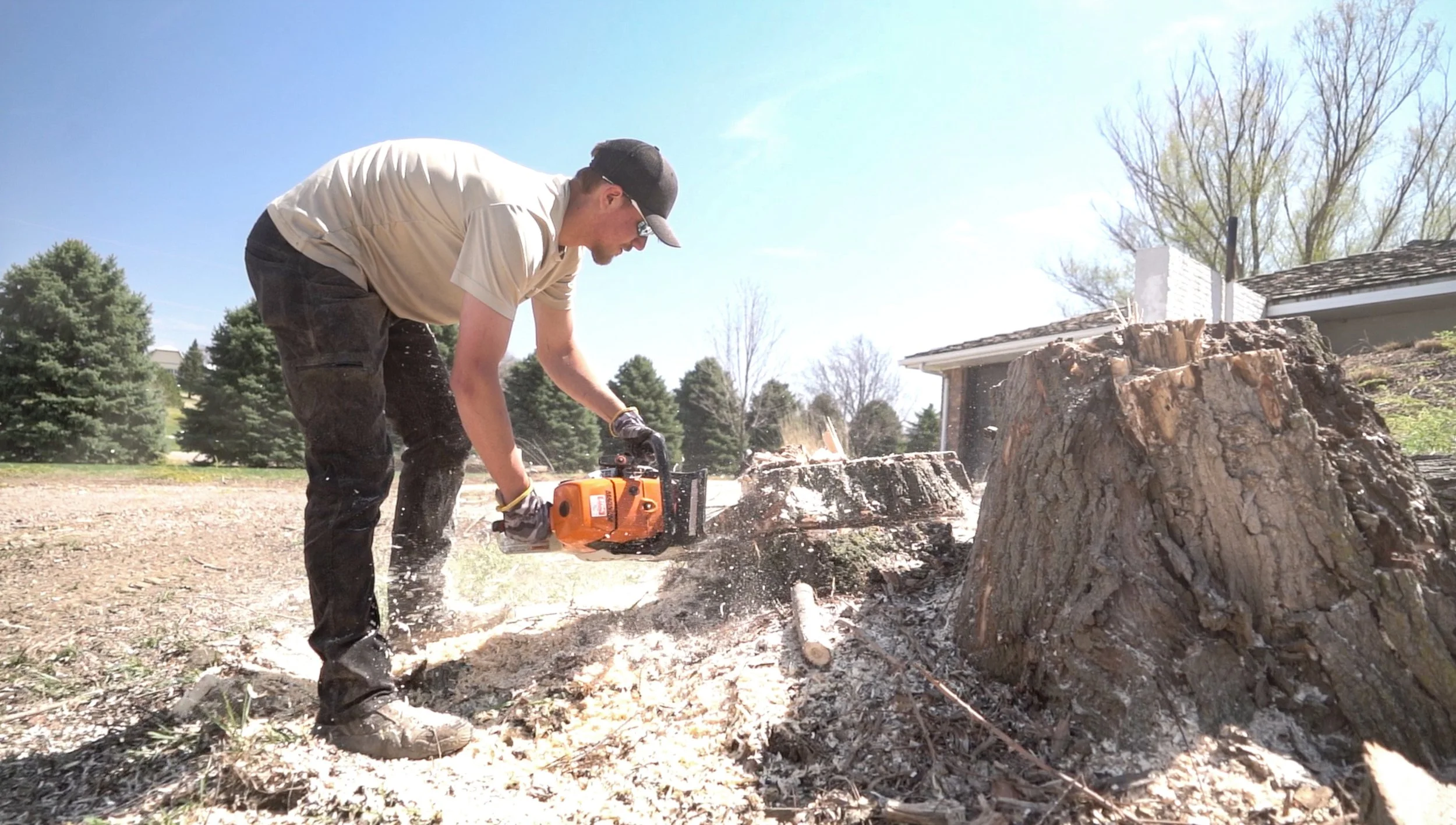 Hartington Tree LLC
