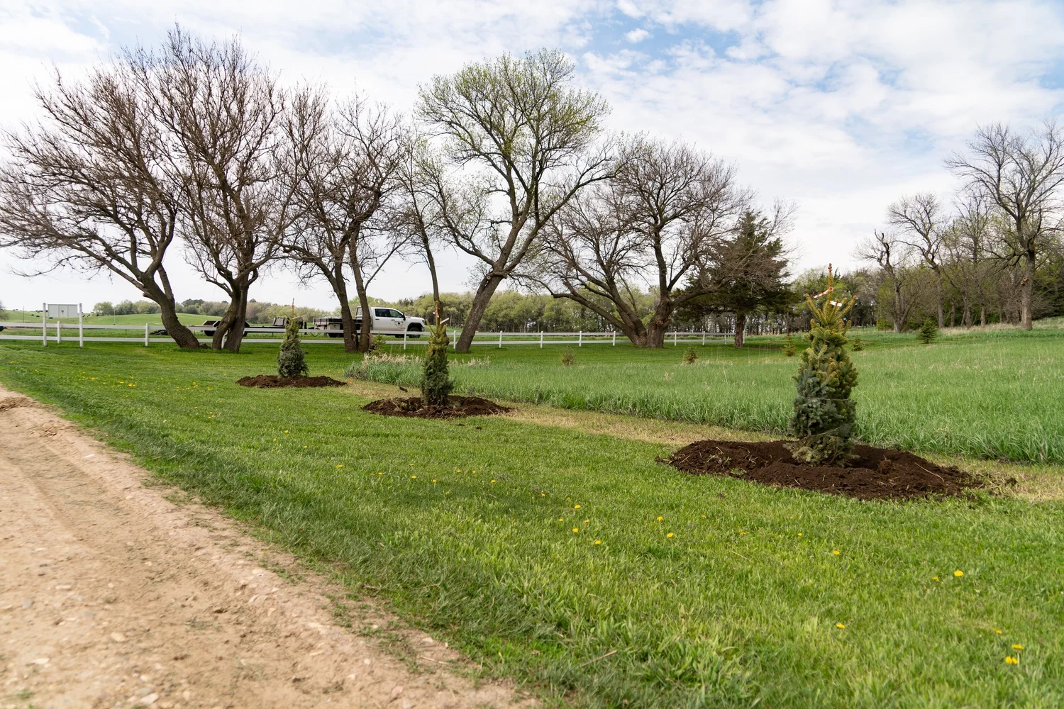 Gallery — Hartington Tree LLC