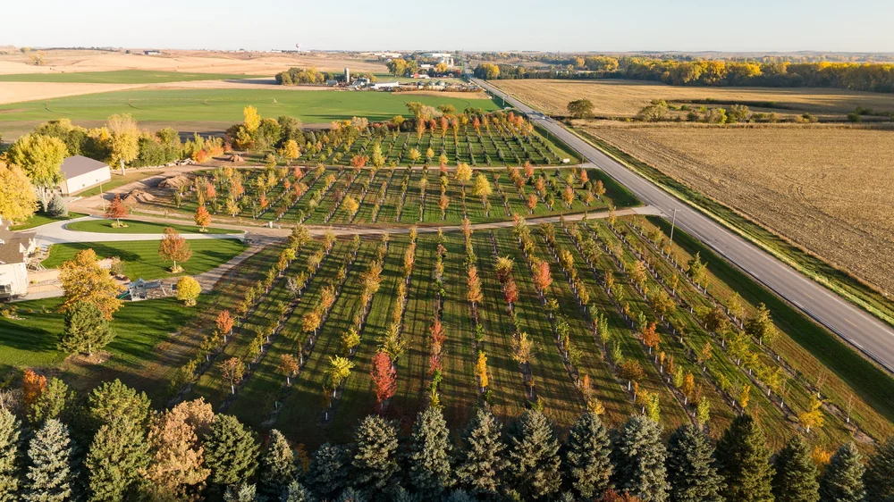 Gallery — Hartington Tree LLC