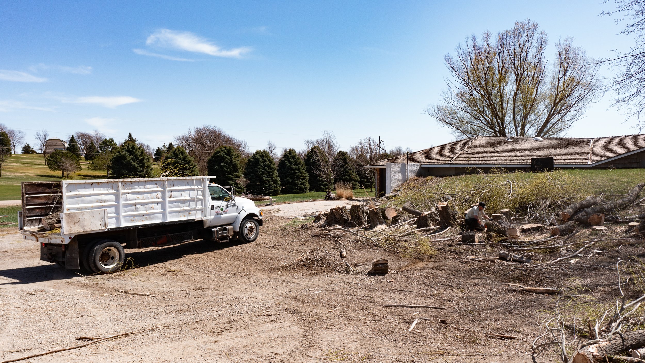 Gallery — Hartington Tree LLC