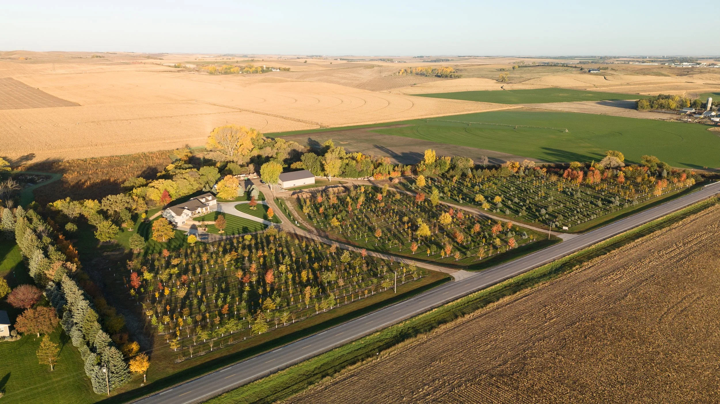 Gallery — Hartington Tree LLC