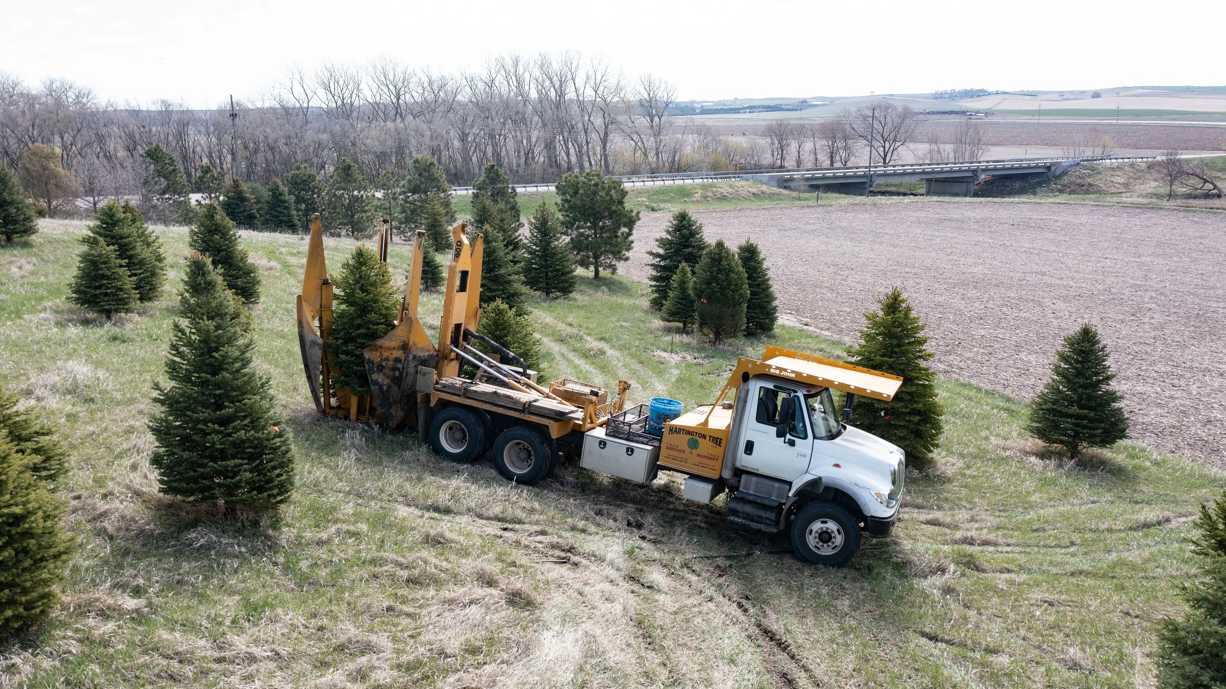 Gallery — Hartington Tree LLC