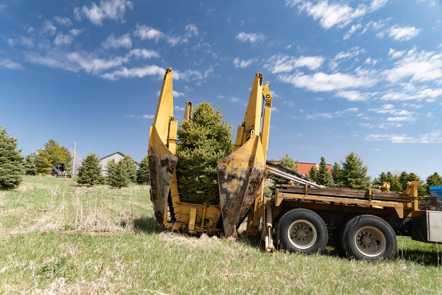 Hartington Tree LLC