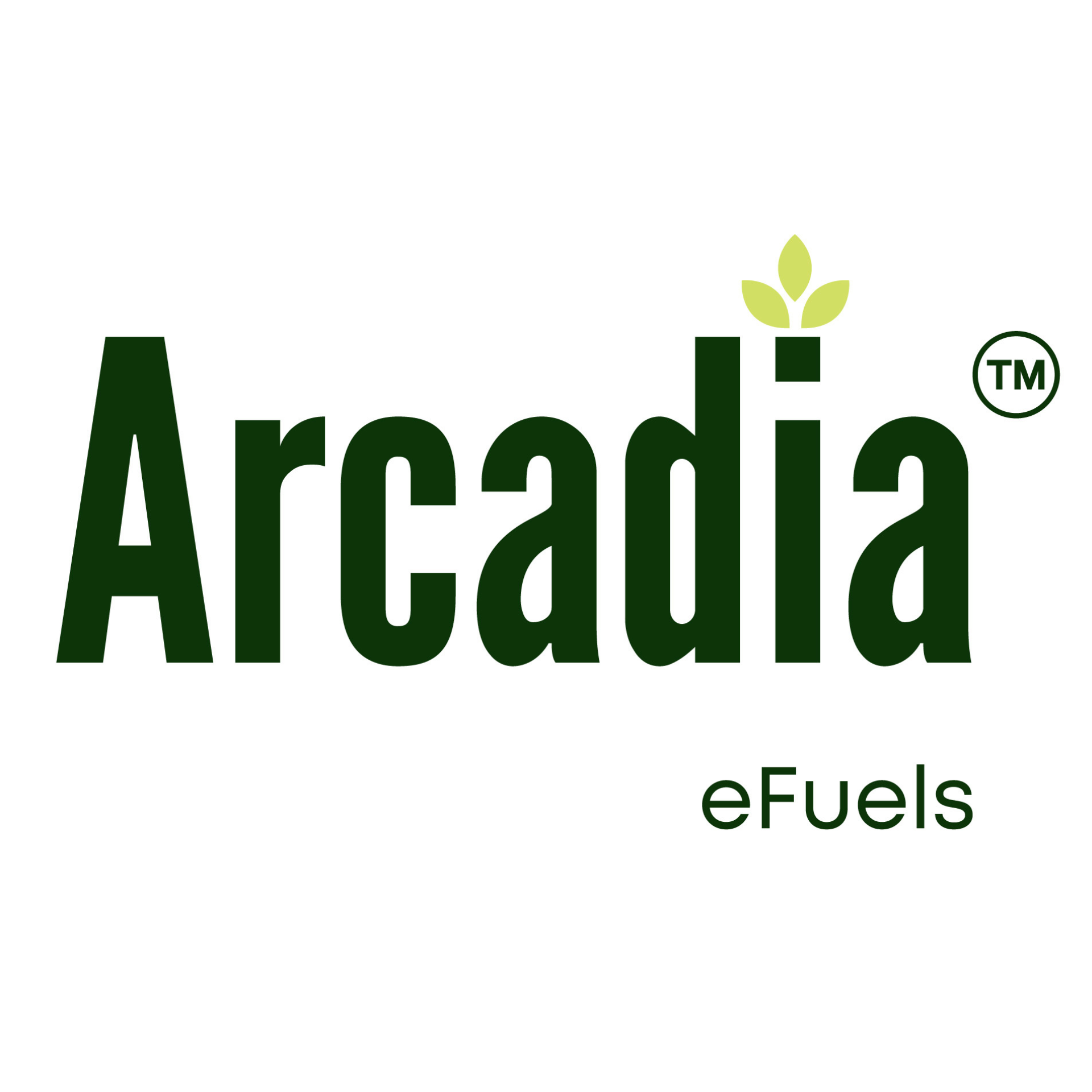 Our members — SASHA Coalition