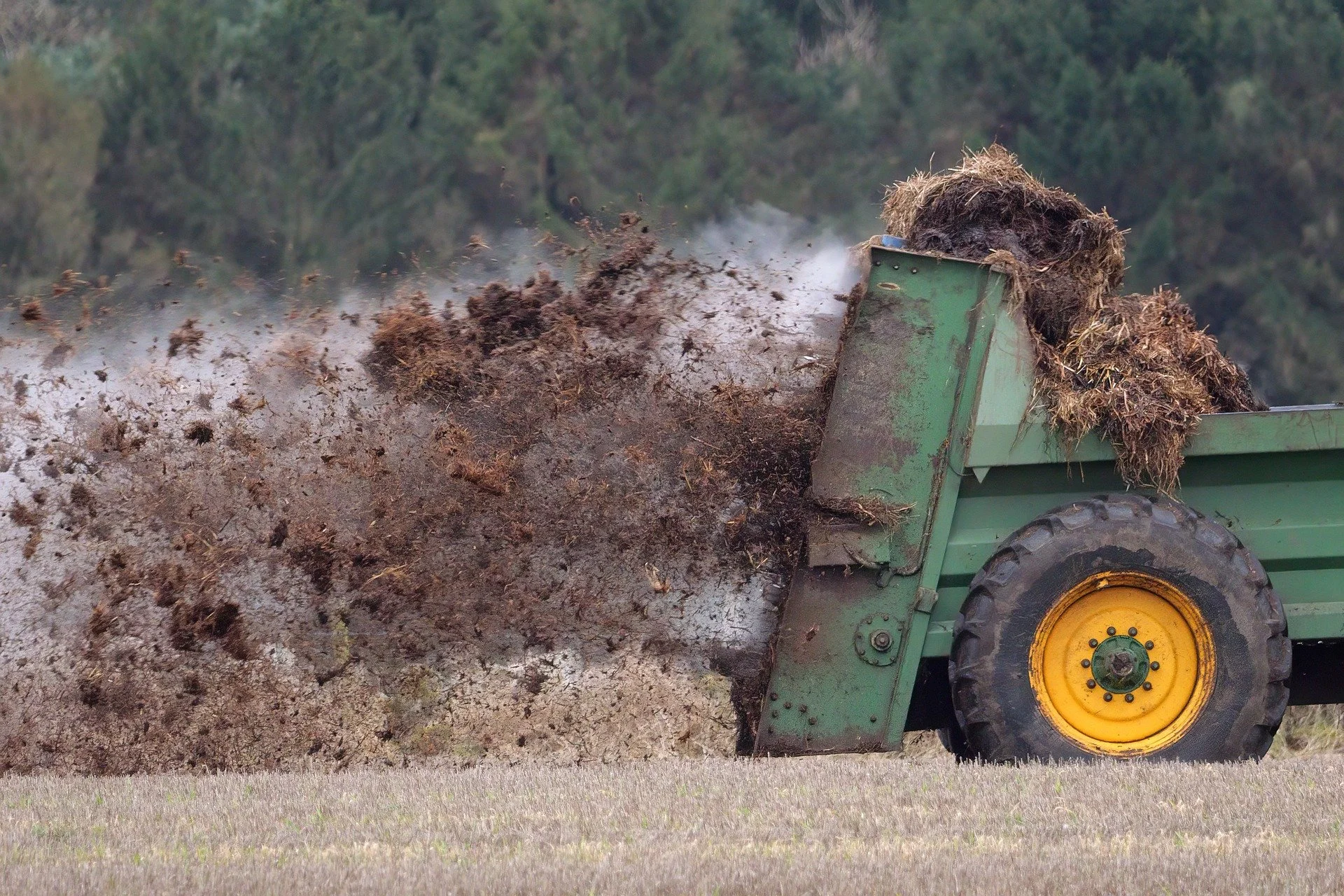 Estiércol en la Agricultura de Precisión: Optimizando la Fertilización ...