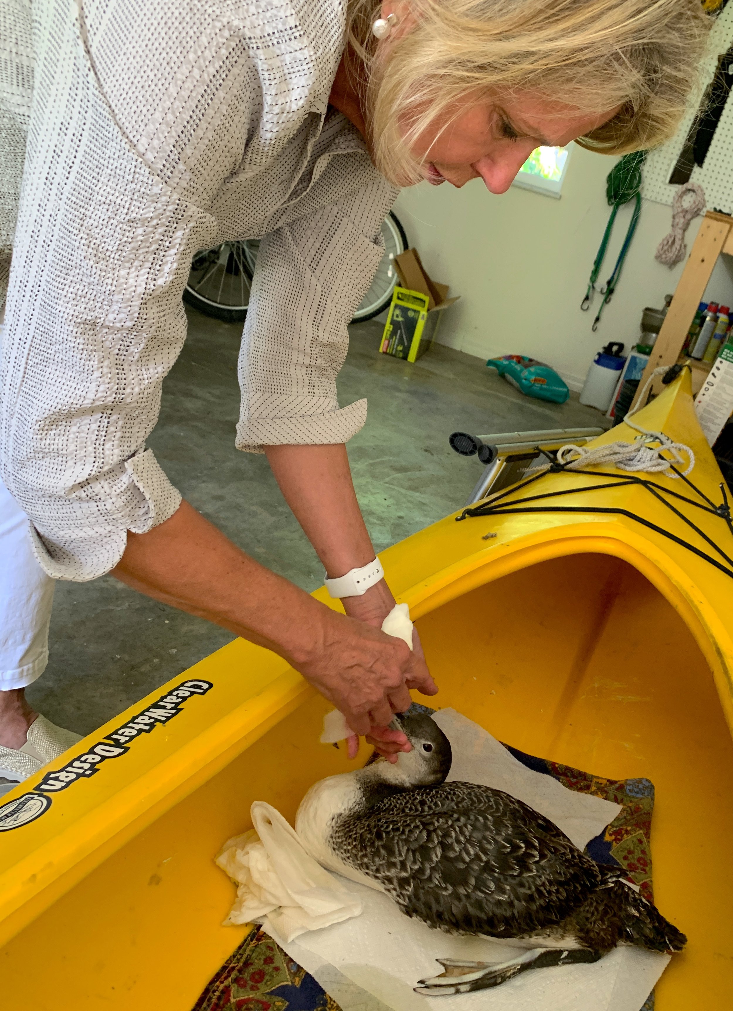 CONSERVATION — ALEXANDER R. BRASH