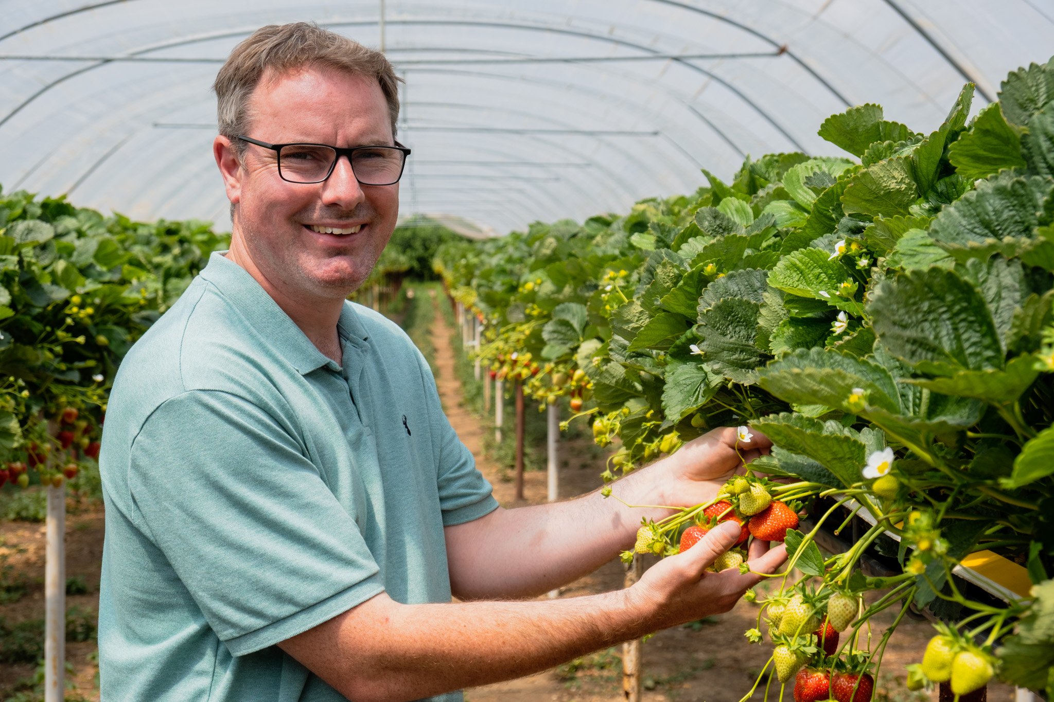 Our Produce — Emery Soft Fruits