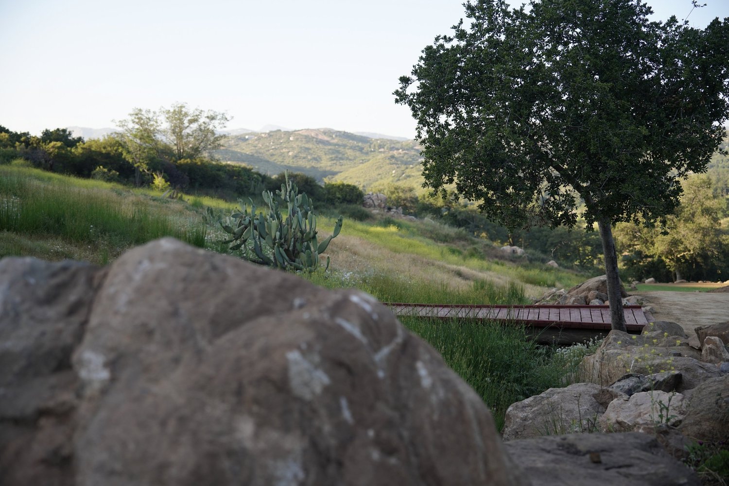 General 6 — Red Hawk Ridge Events