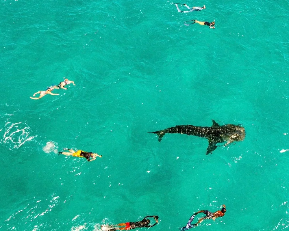 Visit Dhigurah — Seaside Dhigurah
