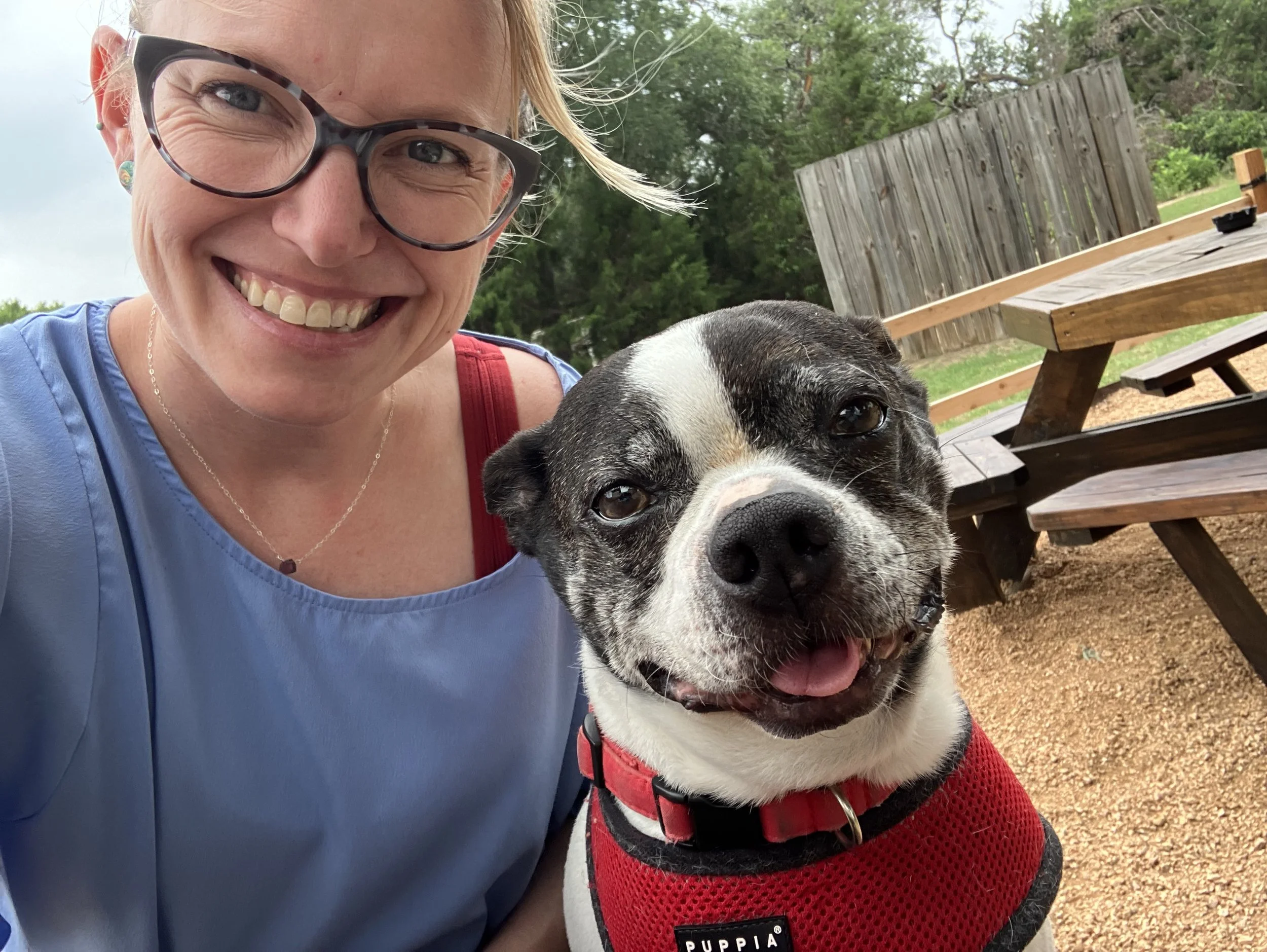 Harris Veterinary Oncology