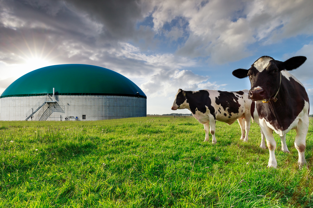 Northern Biogas