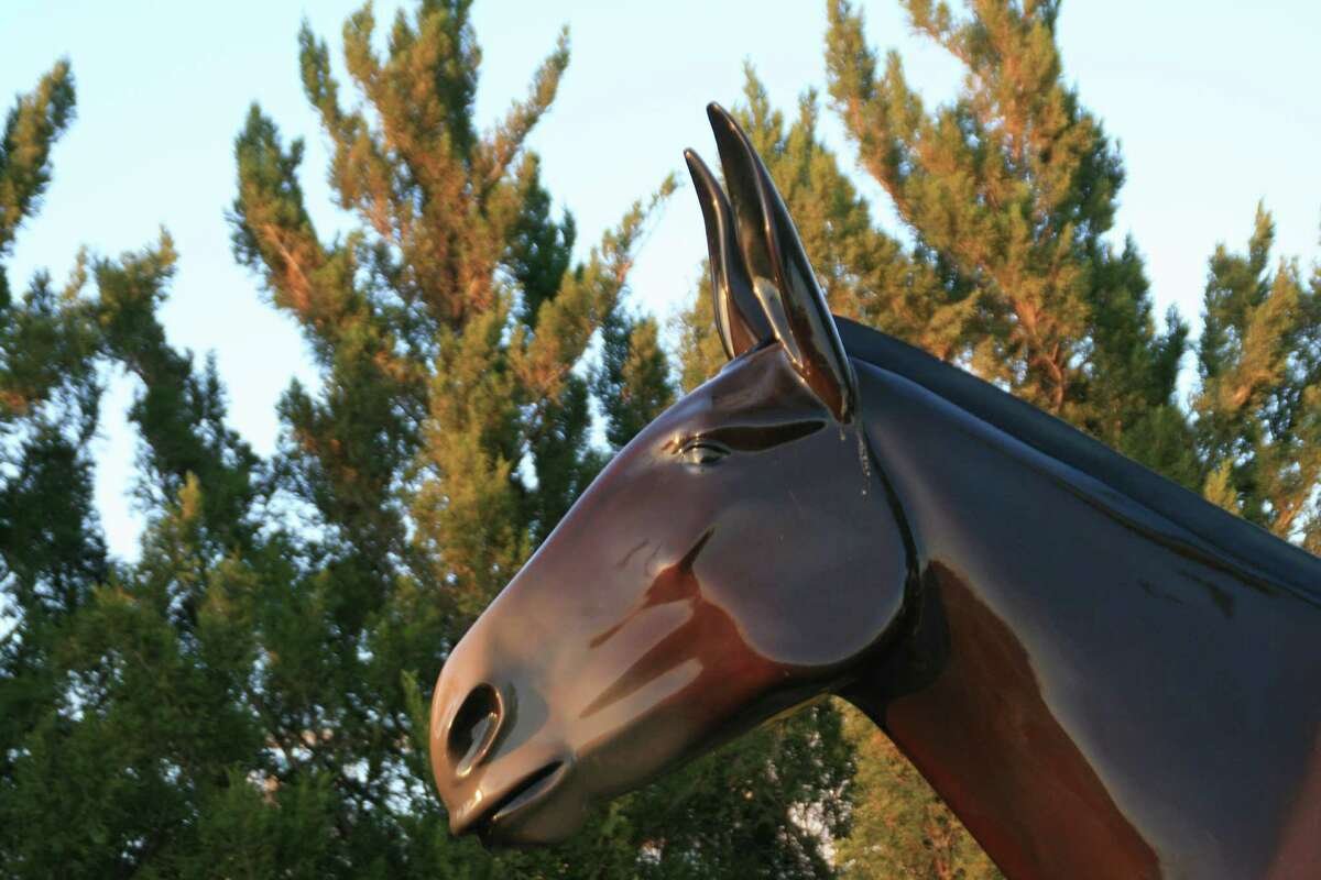 Muleshoe Chamber of Commerce & Agriculture