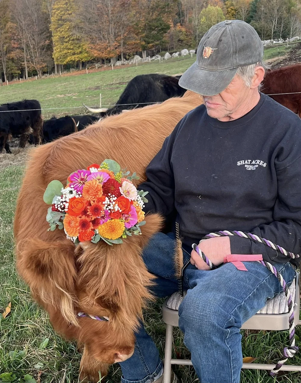 Tours — Shat Acres Highland Farm
