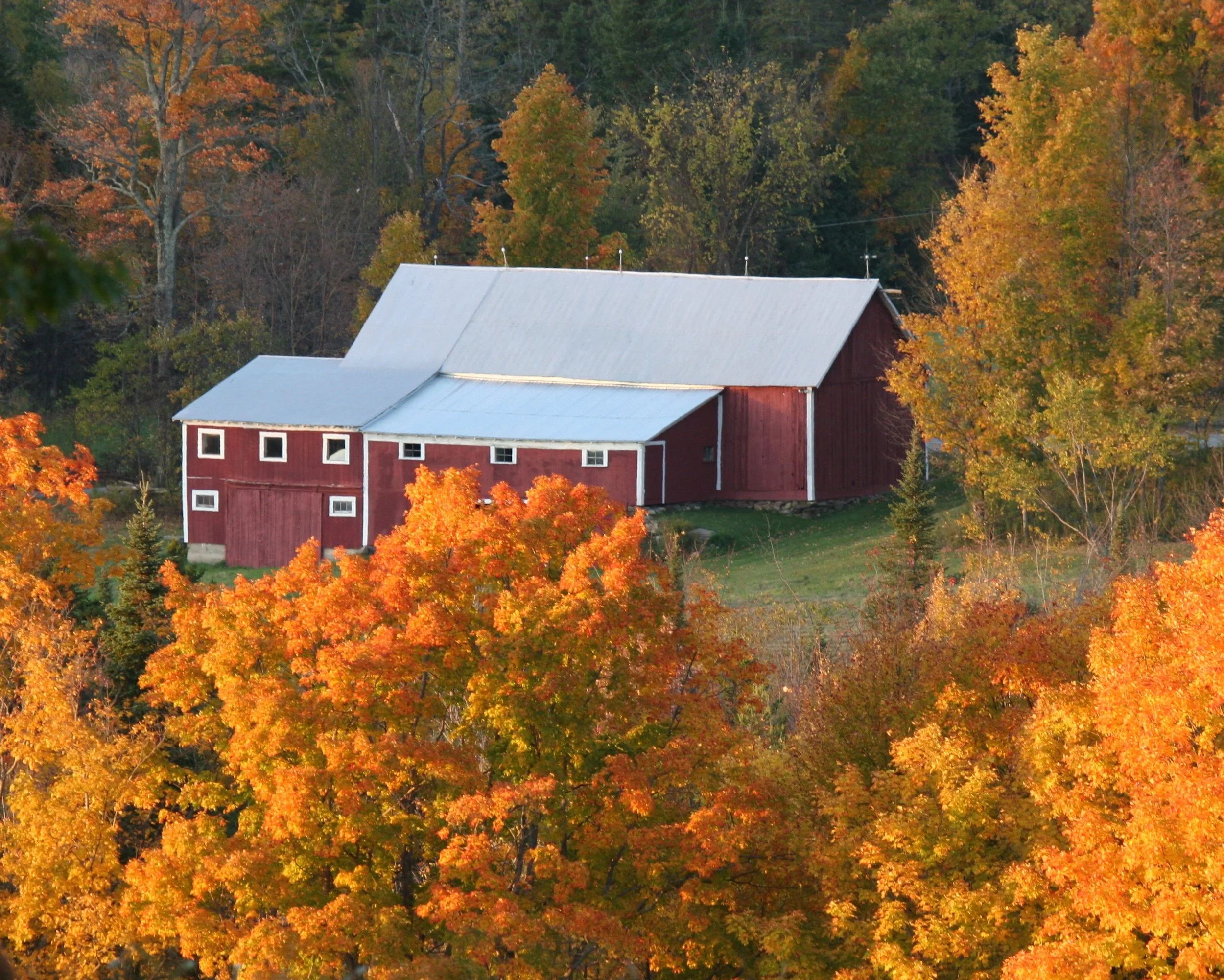 Greenfield Highland Beef — Shat Acres Highland Farm