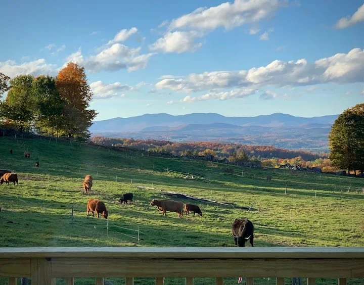 Stay with Us — Shat Acres Highland Farm