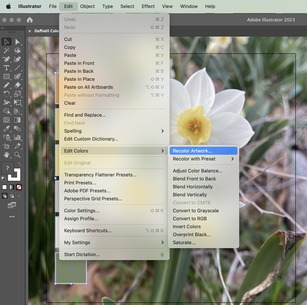 How to Create a Custom Color Palette in Adobe Illustrator Using a Photo ...