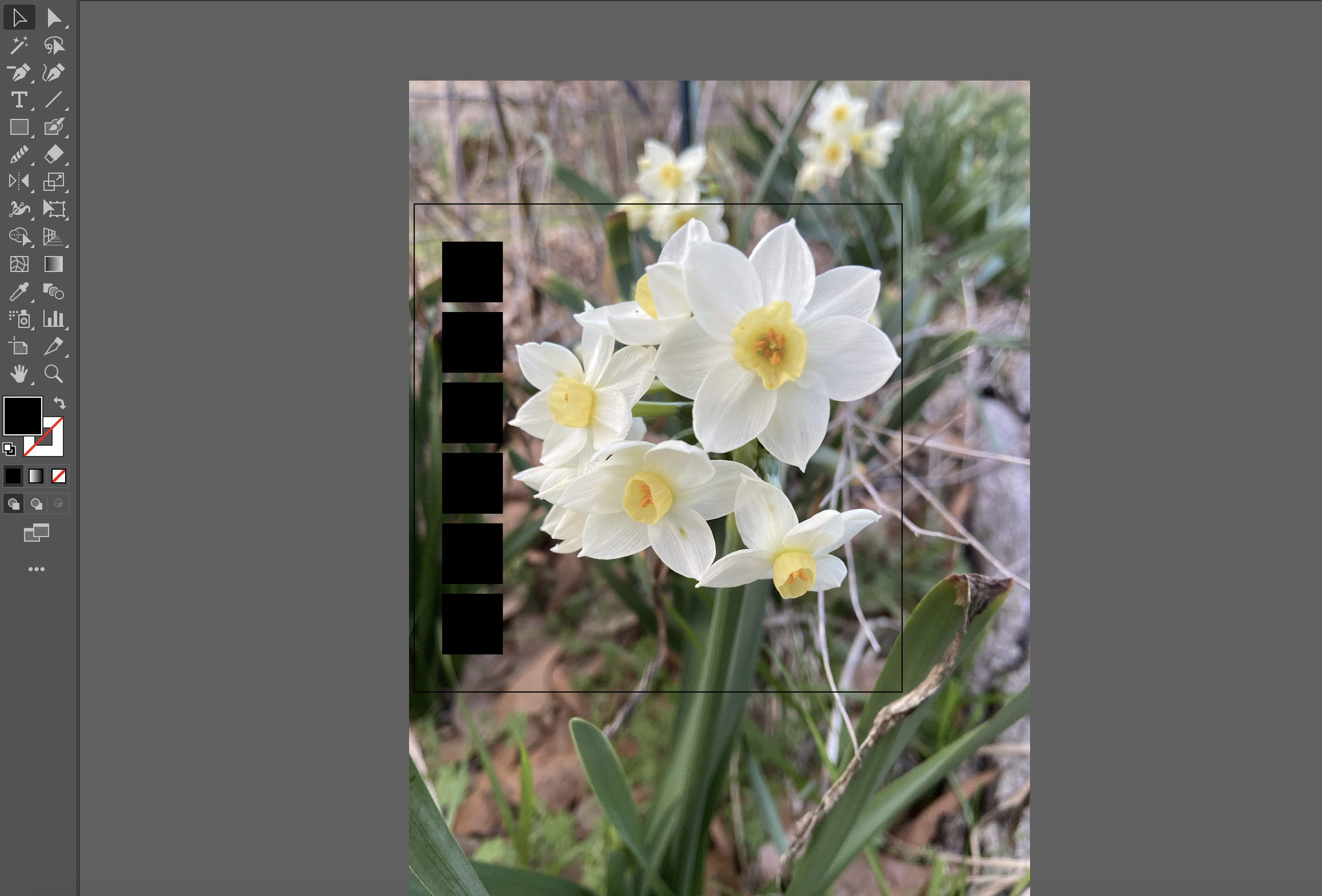 How to Create a Custom Color Palette in Adobe Illustrator Using a Photo ...