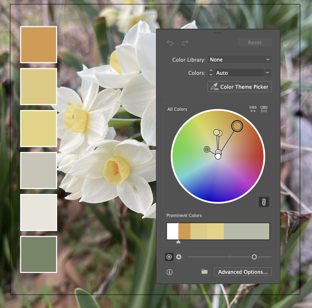 How to Create a Custom Color Palette in Adobe Illustrator Using a Photo ...