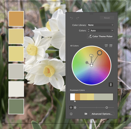 How to Create a Custom Color Palette in Adobe Illustrator Using a Photo ...