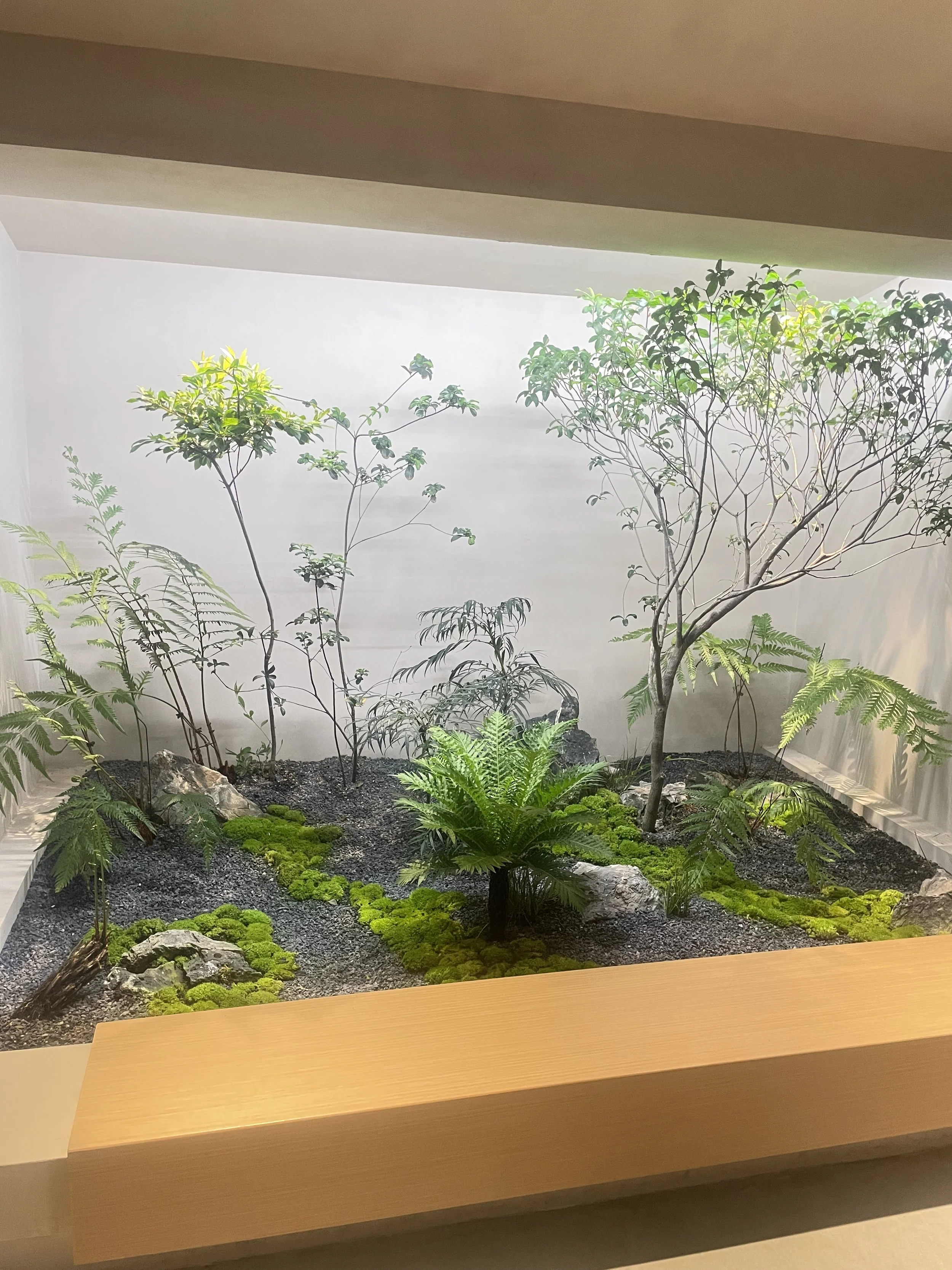 Micro Cement for Outdoor Spaces: Stylish Garden Solutions — MWork.ca