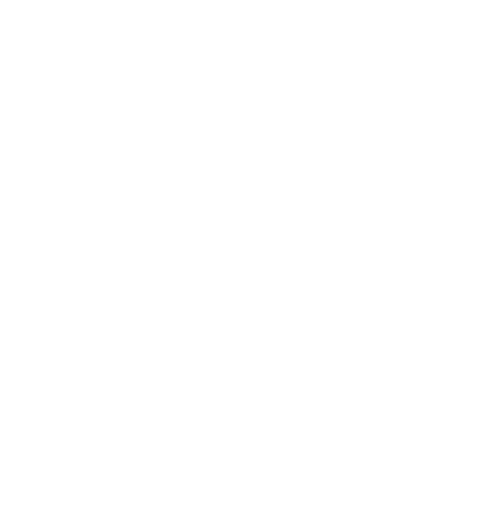 About — Limitless Evolution