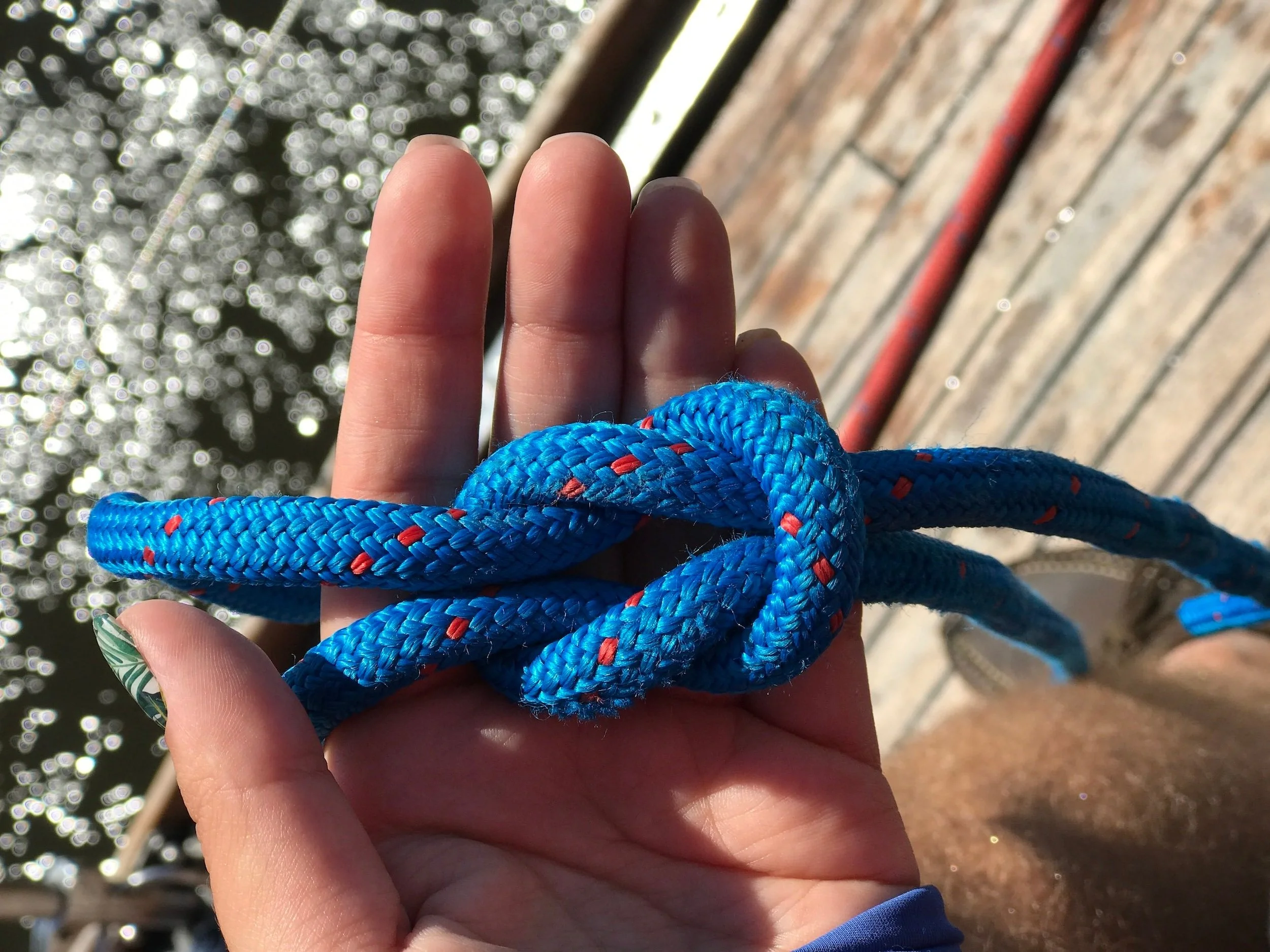 How To Tie Sailing Knots