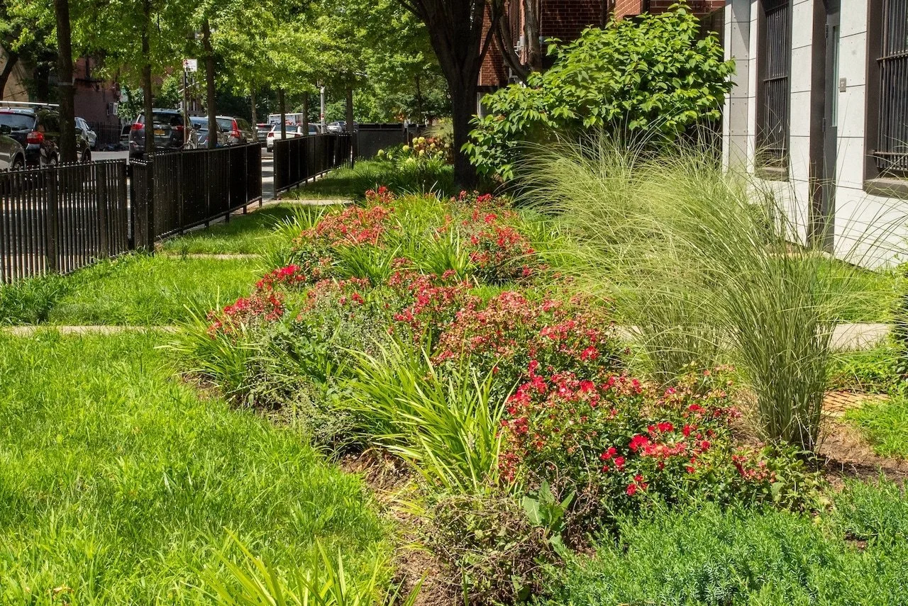 NYCHA Armstrong and Marcy-Greene Revitalization — bayview landscape ...