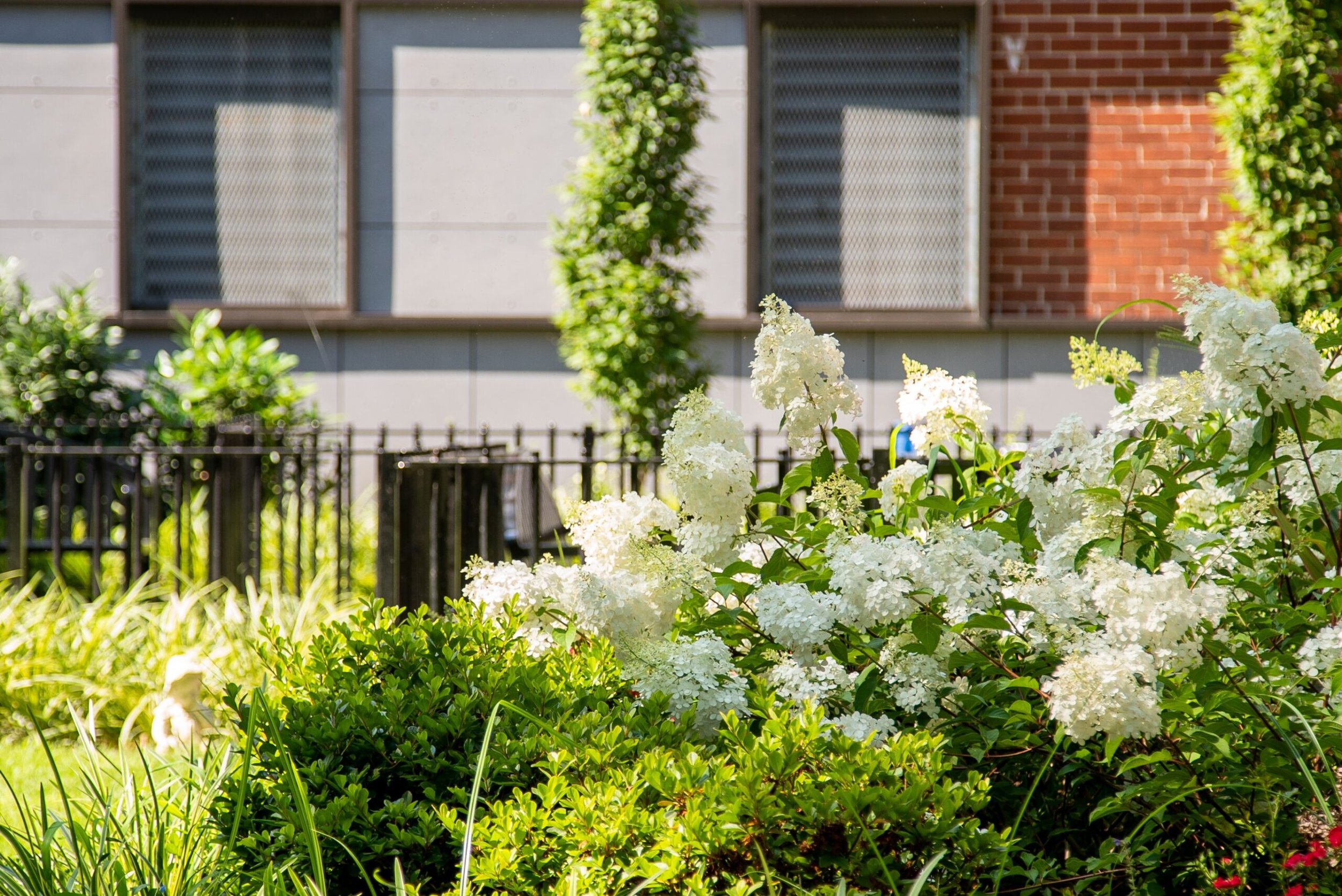 NYCHA Campuses Warren Street — bayview landscape architecture ...