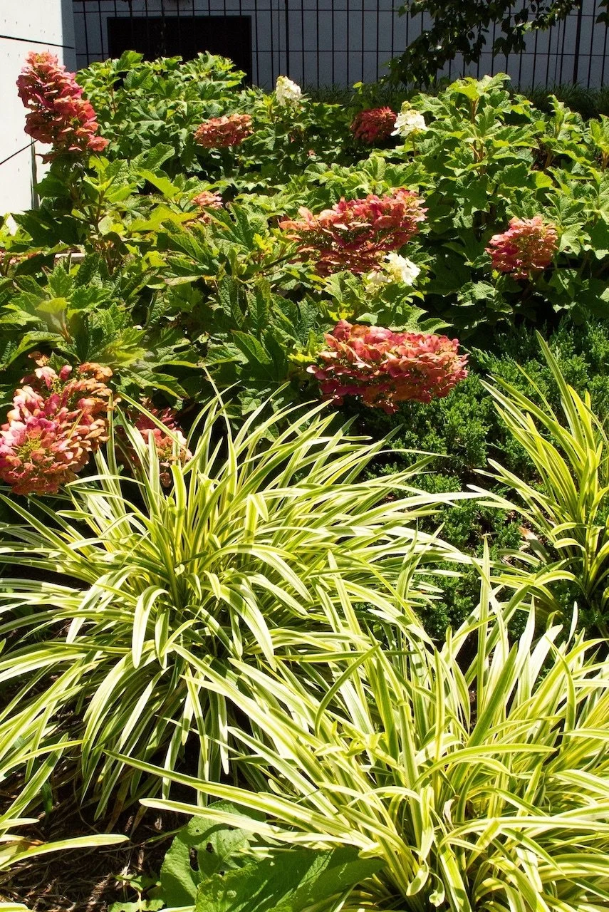 NYCHA Armstrong and Marcy-Greene Revitalization — bayview landscape ...