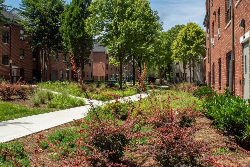 NYCHA Armstrong and Marcy-Greene Revitalization — bayview landscape architecture - landscape ...