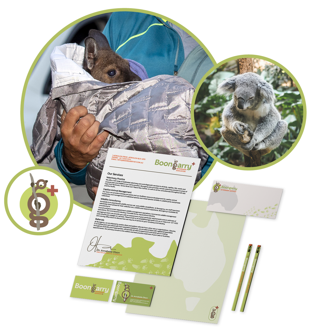 Mackenzie Design | Create Impactful Nonprofit Designs