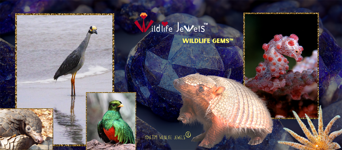 Wildlife Jewels® | The Wildlife Jewels Collection