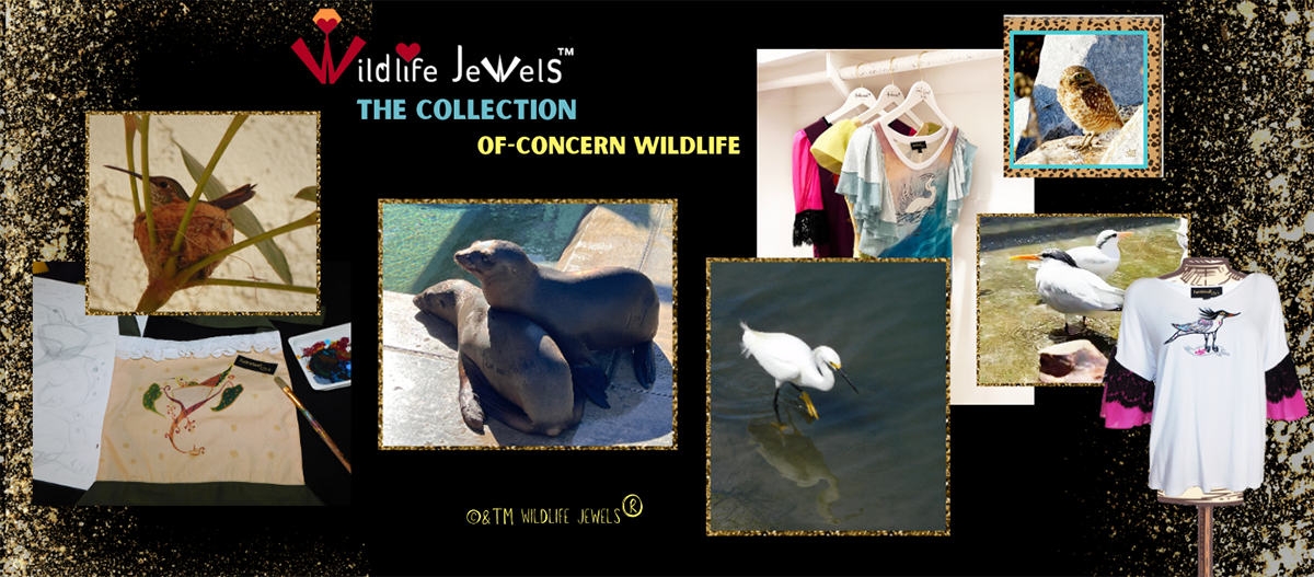 Wildlife Jewels® | The Wildlife Jewels Collection