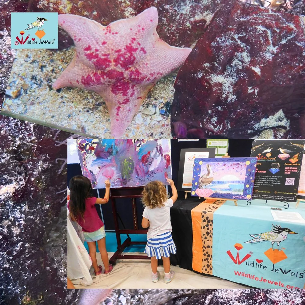 Celebrating Upper Newport Bay’s Wildlife at Back Bay’s Biodiversity Bash